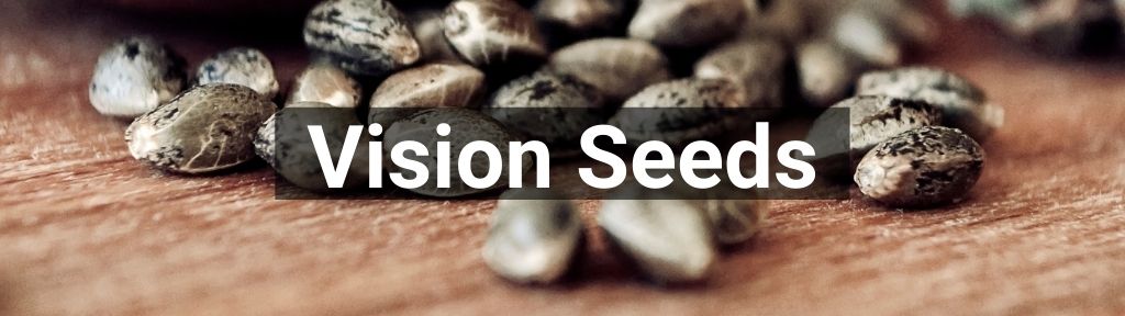 High quality Vision Seeds products - Smartific.com