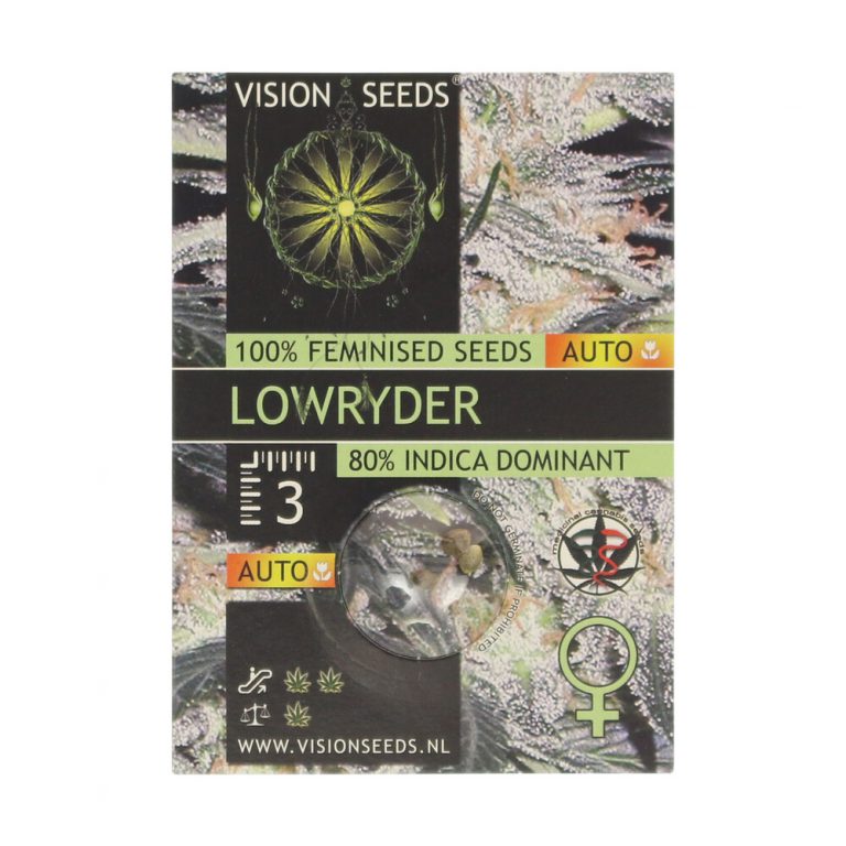 Auto Lowryder - Smartific.com