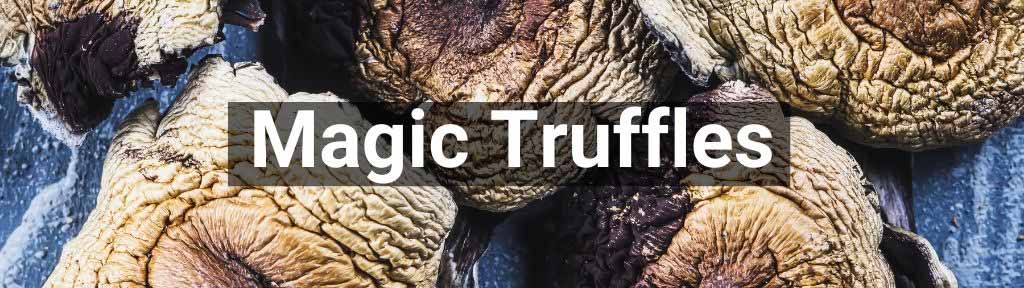 Buy Magic Truffles from Amsterdam Holland | Smartific